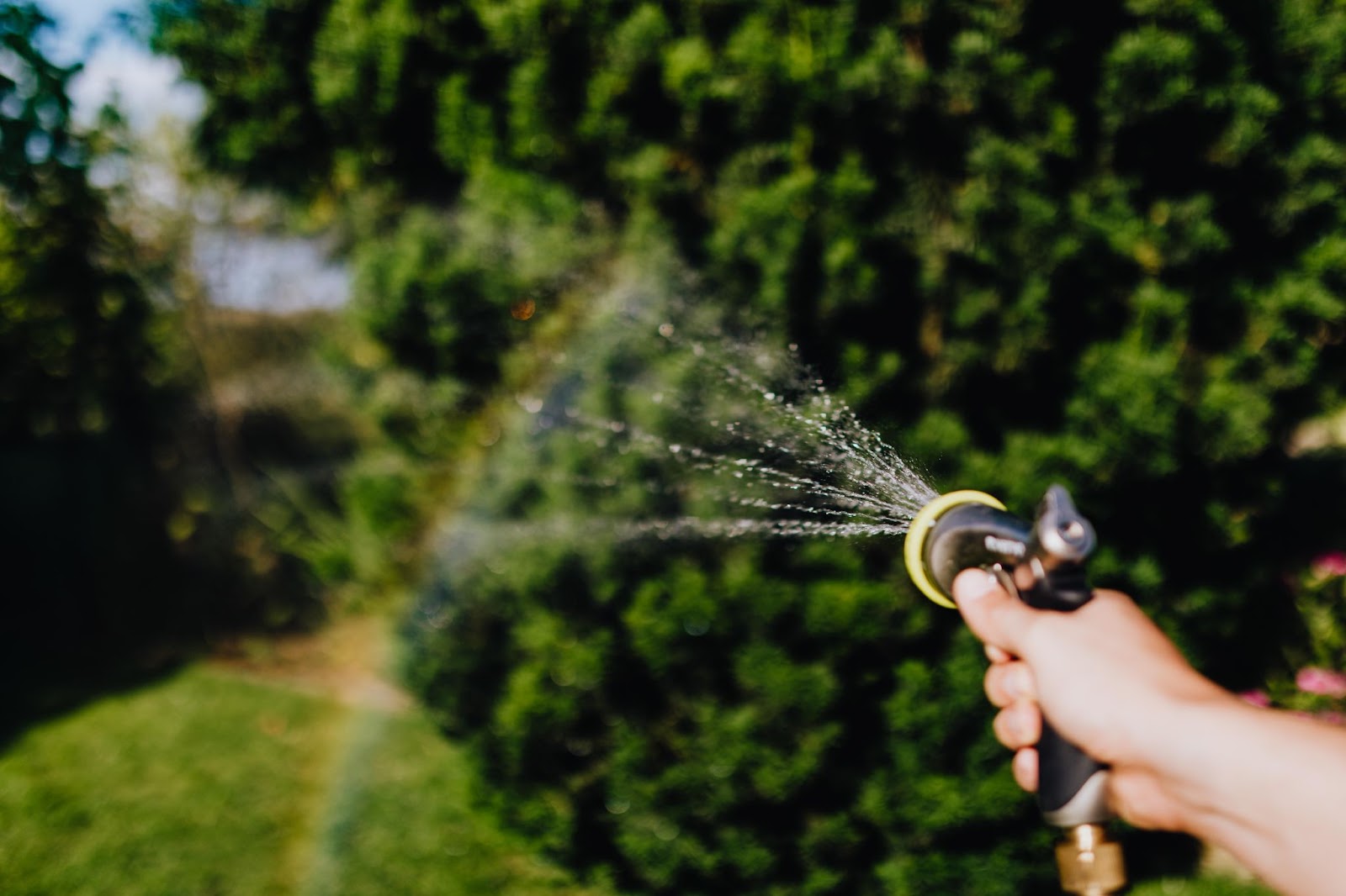 Lawn Watering Guide Best Time To Water Lawn The Lawn Shed Lawn Watering Guide Best Time To Water Lawn The Lawn Shed