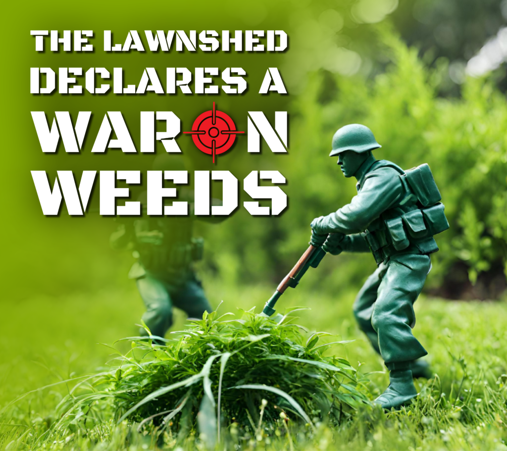 The War On Weeds - The Lawn Shed